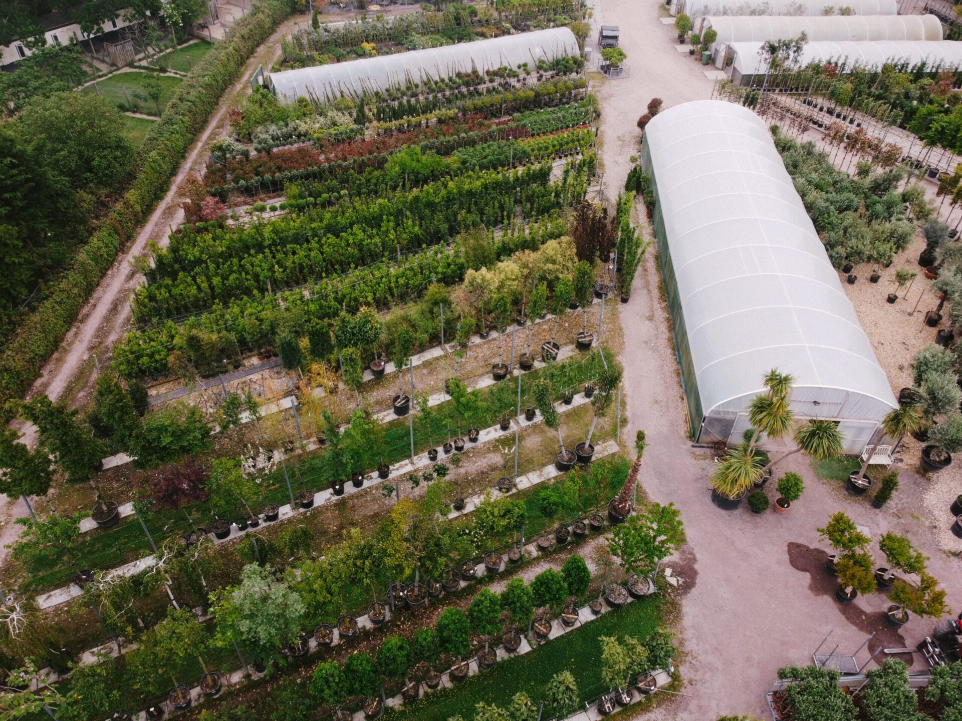 Availability List - Folium and Flos